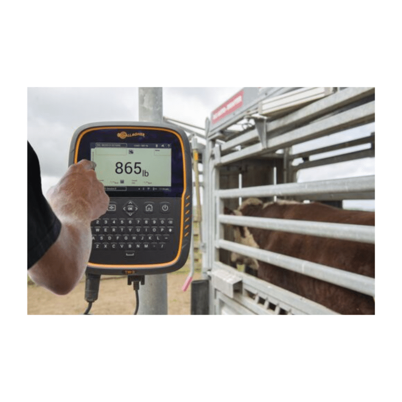 TW-3 Weigh Scale & Data Collector - Farmquip