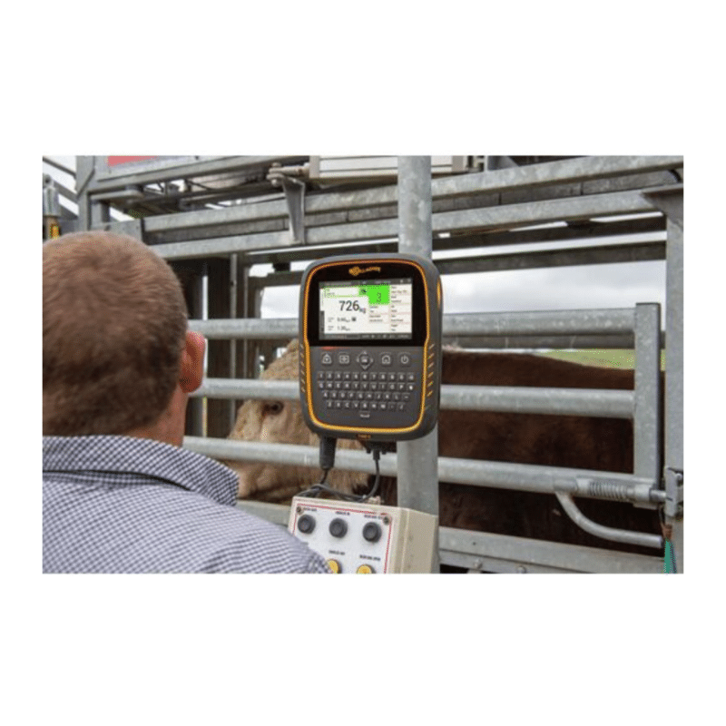 TWR-5 Weigh Scale & Reader - Farmquip