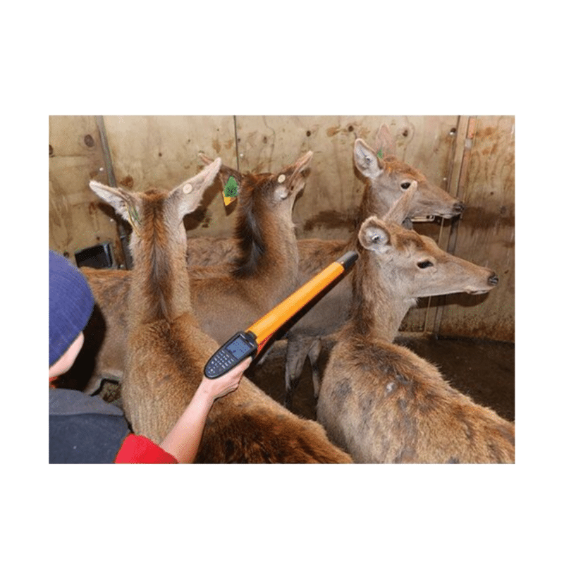 HR5 v2 Hand Held EID Tag Reader & Data Collector - Farmquip